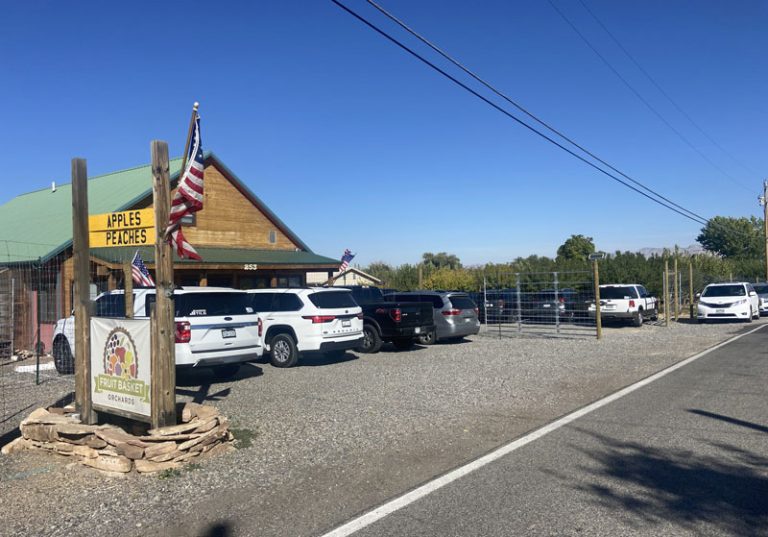 Fruit Basket | You Pick Orchard in Colorado